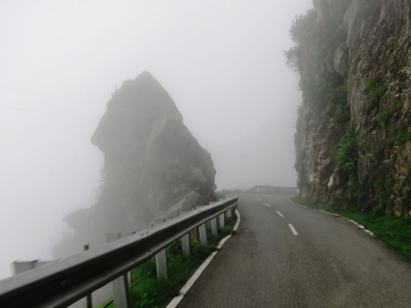 Dhanaulti Tourism and Travel Guide, Hill Station, Sightseeing and ...