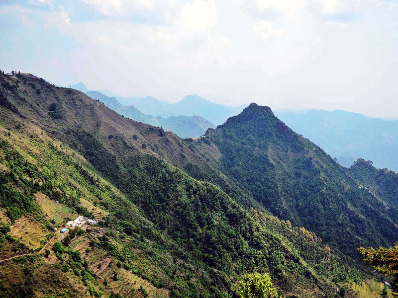 Kodia Jungle (Kaudia Forest) Travel Guide, Tourism In Kanatal ...